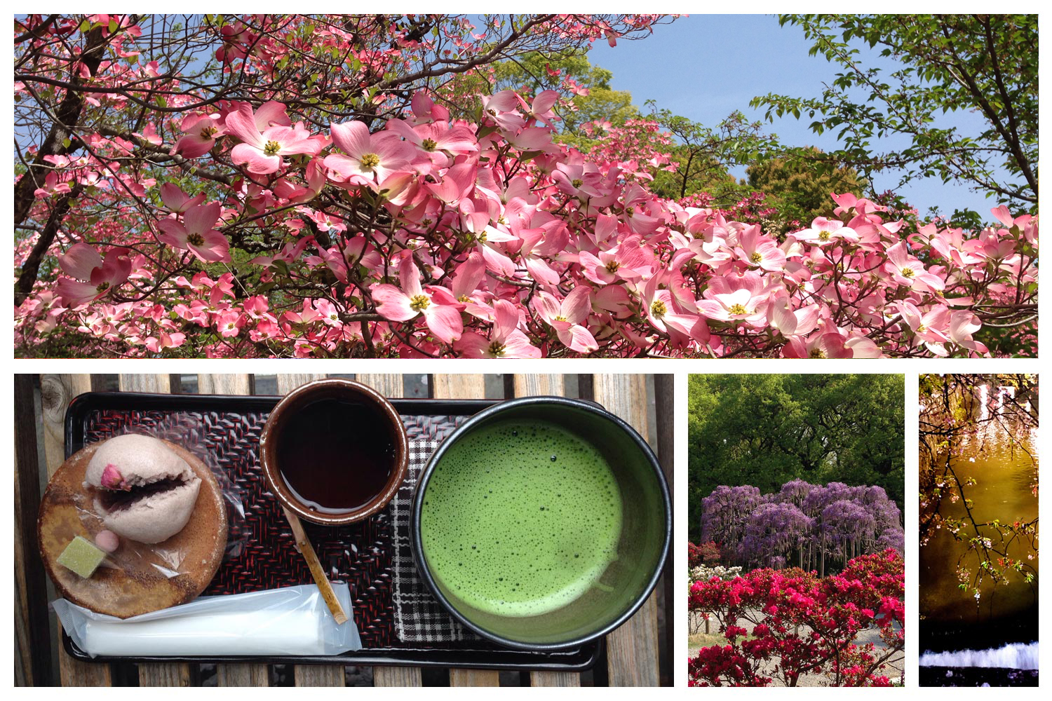 Spring Tour Collage - Explore Japan יפן חוויה אחרת